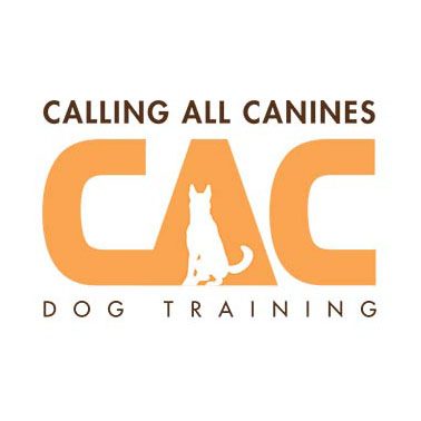 Testimonials - Calling All Canines - Sheri Venza - Dog Training